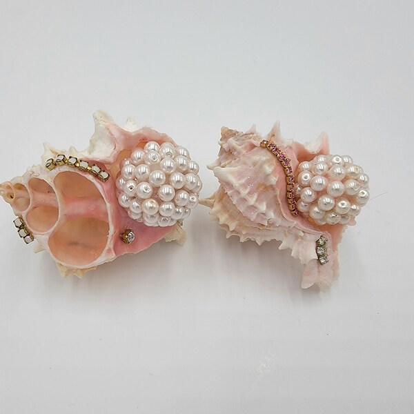 Shell Embellished - Etsy