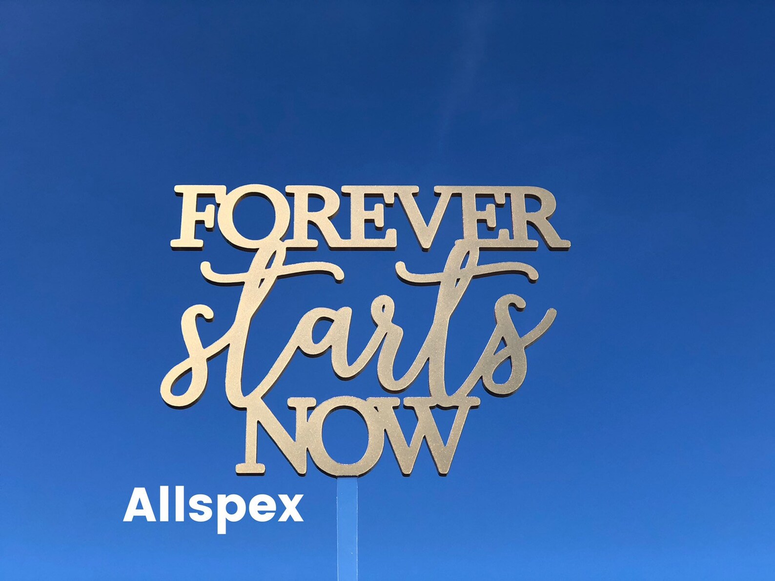 Wedding Cake Topper Forever Starts Now - Etsy