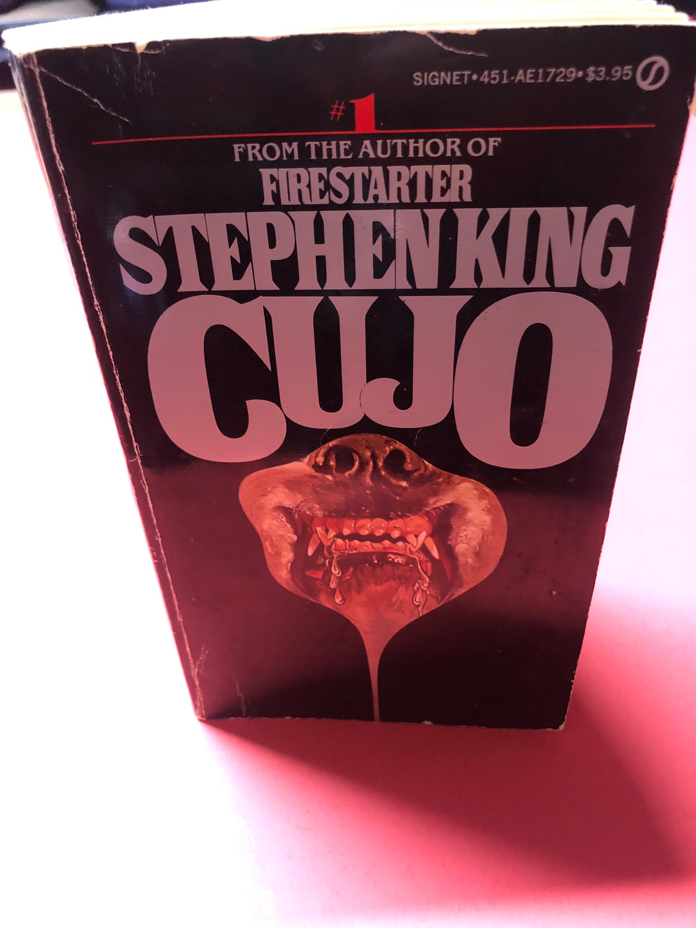 Cujo Stephen King Book