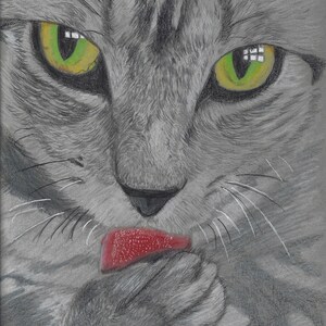 Fine Art PRINT of My Original Cat Drawing - Etsy