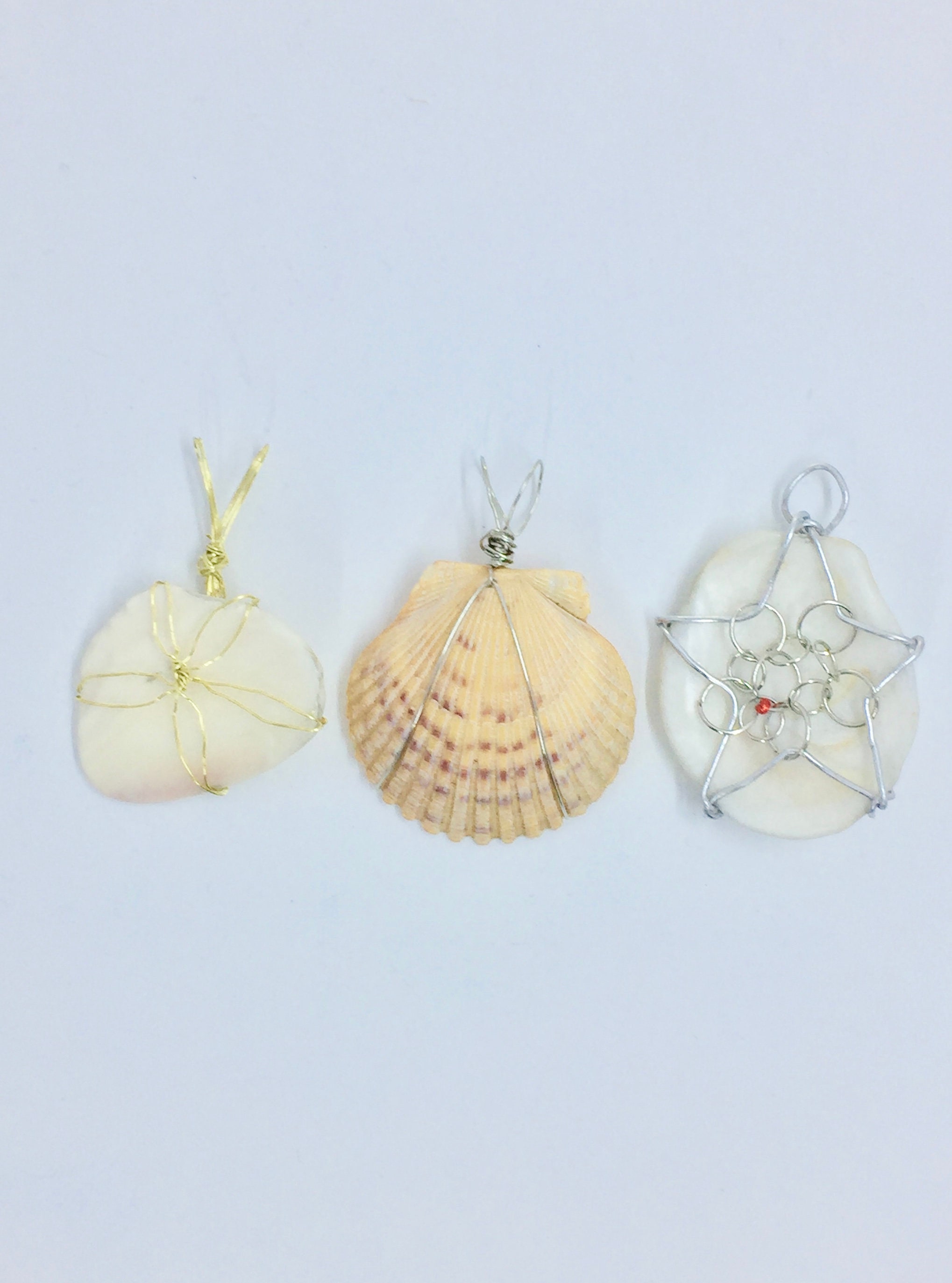 One of a Kind Wire Wrapped Shell Pendants, Wire Wrapped Shells, Beach ...