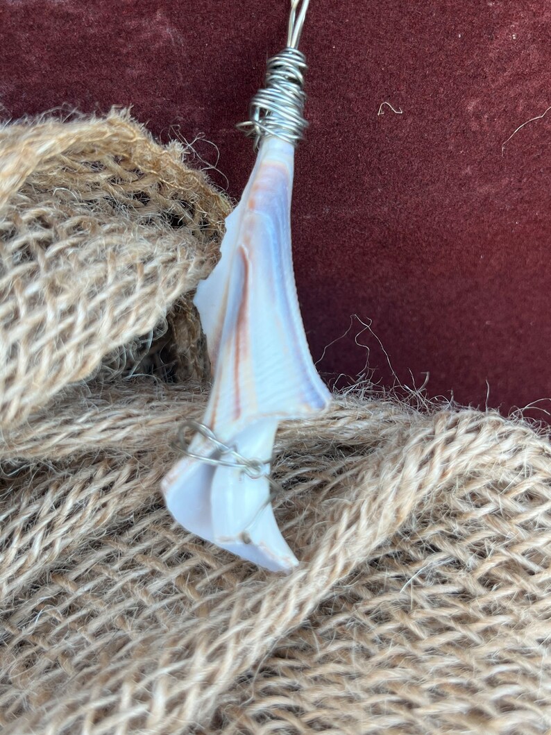 One of a Kind Wire Wrapped Shell Pendants, Wire Wrapped Shells, Beach ...