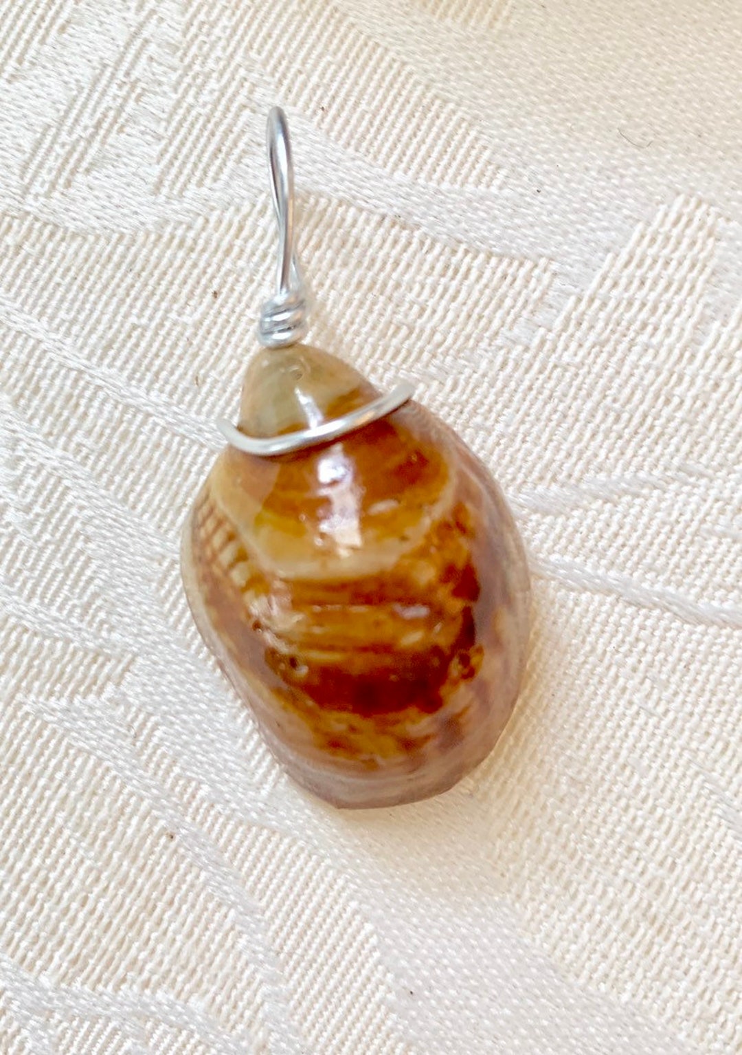 Wire Wrapped Slipper Shell Pendant, Resin Seashell Jewelry, Ocean ...