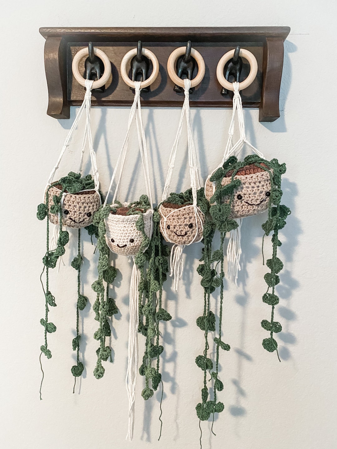 The Ultimate Un-killable House Plant - Etsy