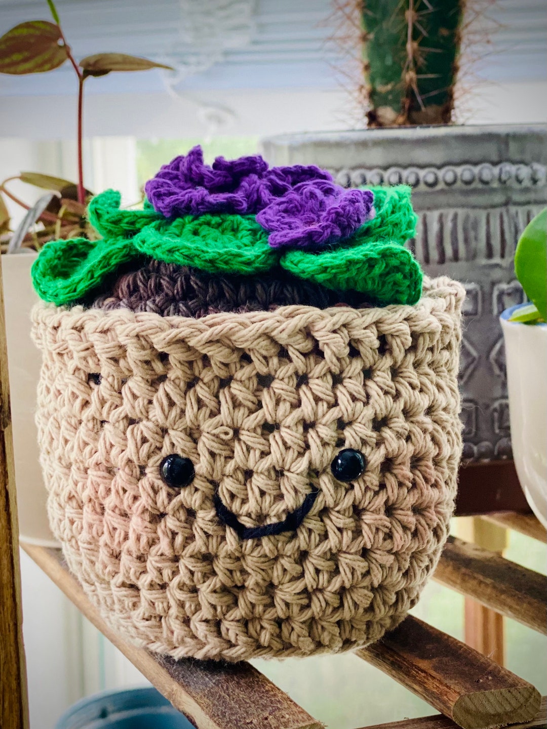 African Violets Crochet Plant - Etsy
