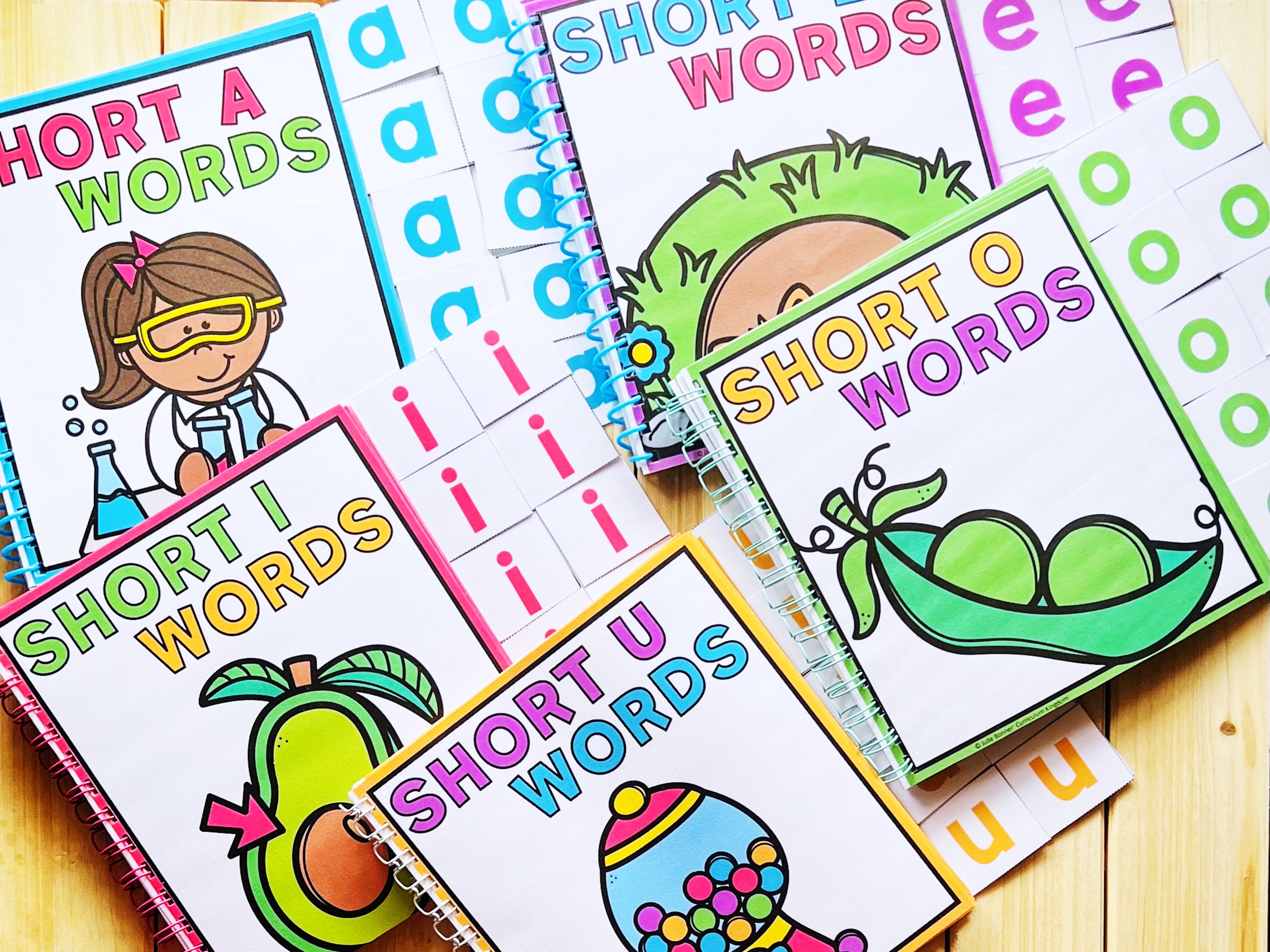 Phonics Adapted Books Errorless CVC Words Hands on Interactive Books ...