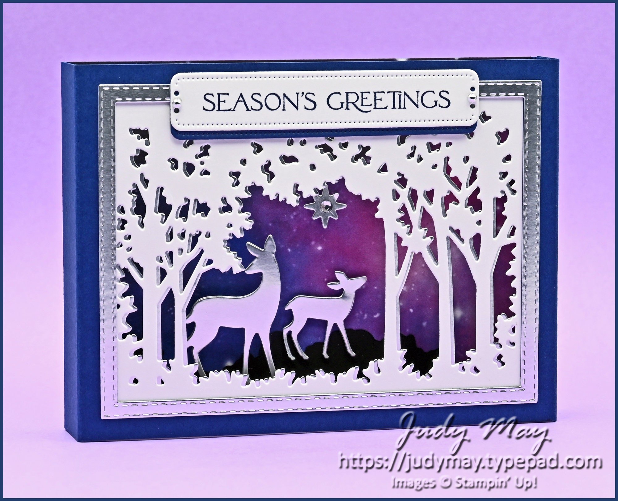 Christmas Diorama Card & Luminary | Holidays | Fancy Fold Cards | 3D ...