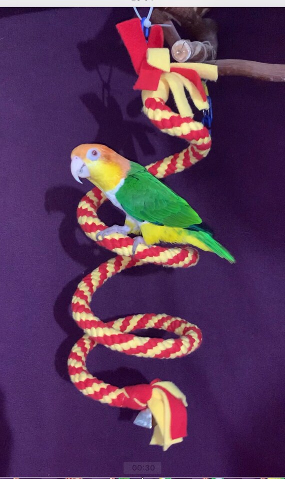 Bouncing Boing Rope Large Size Bird Toy | Etsy