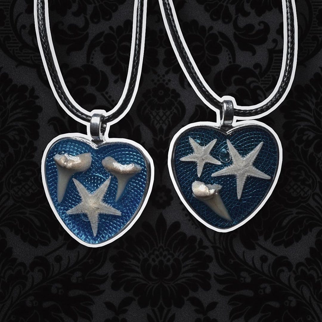Prehistoric Shark Teeth With Starfish real Heart Pendant Cameo Oddities ...