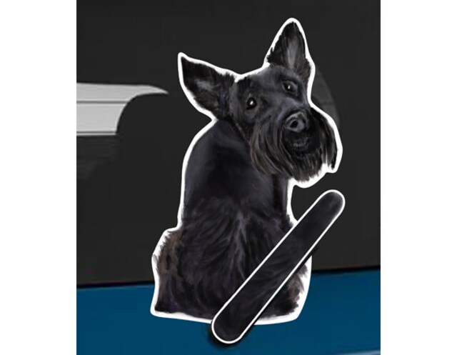 WaggingWipers - Etsy