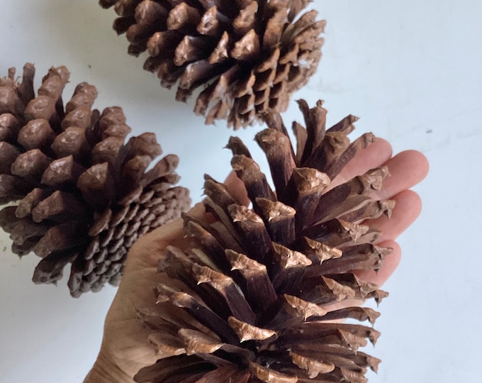 24 Long Driftwood Piece X Macrame Rod X Bulk Driftwood Pieces X Weaving Supplies and Dream ...