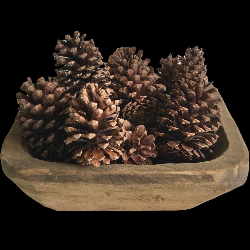 Pine Cone Decor - Etsy