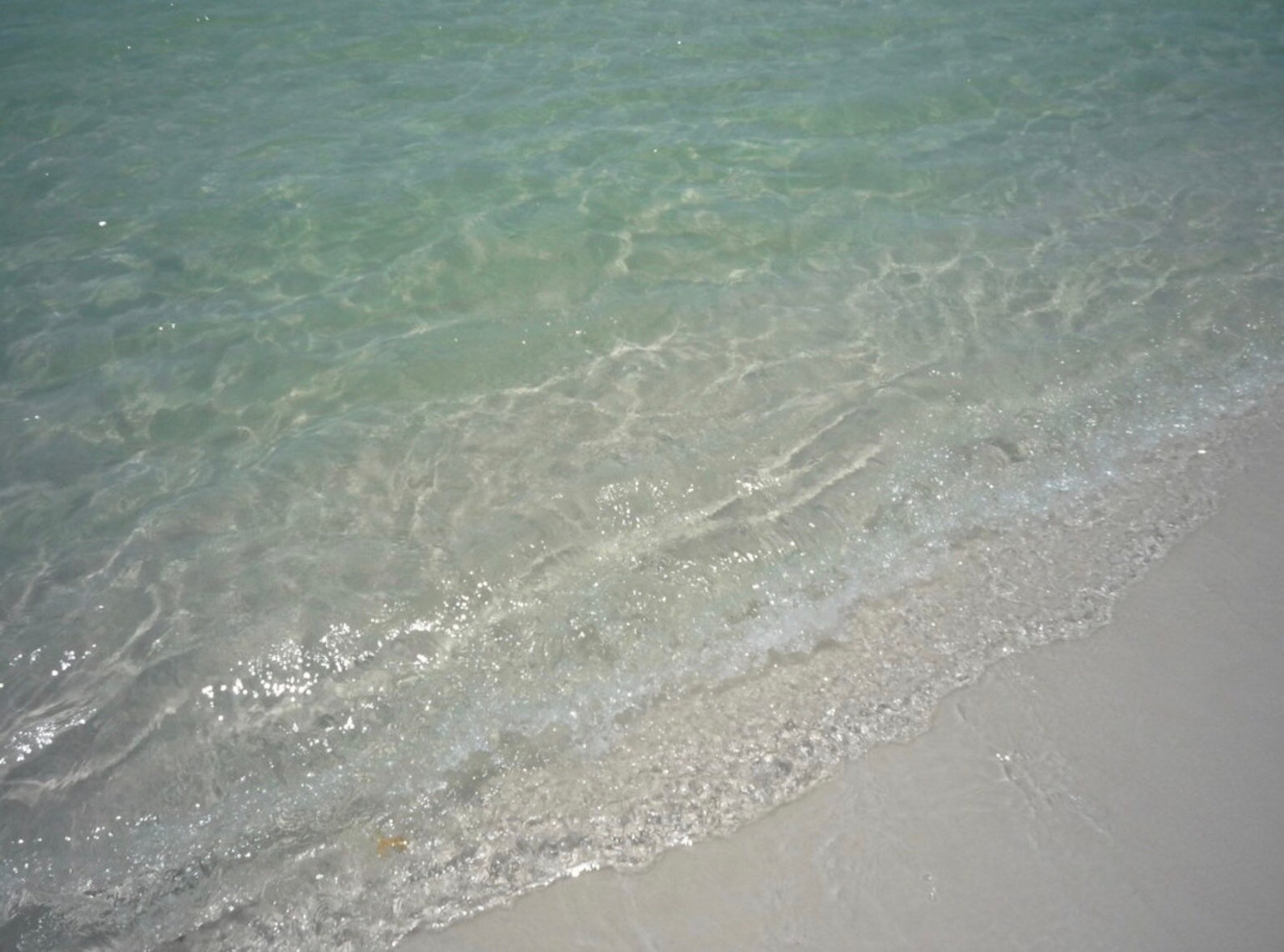 Fine White Sand Destin Florida Gulf Coast Beach Sand by Pound X Resin ...