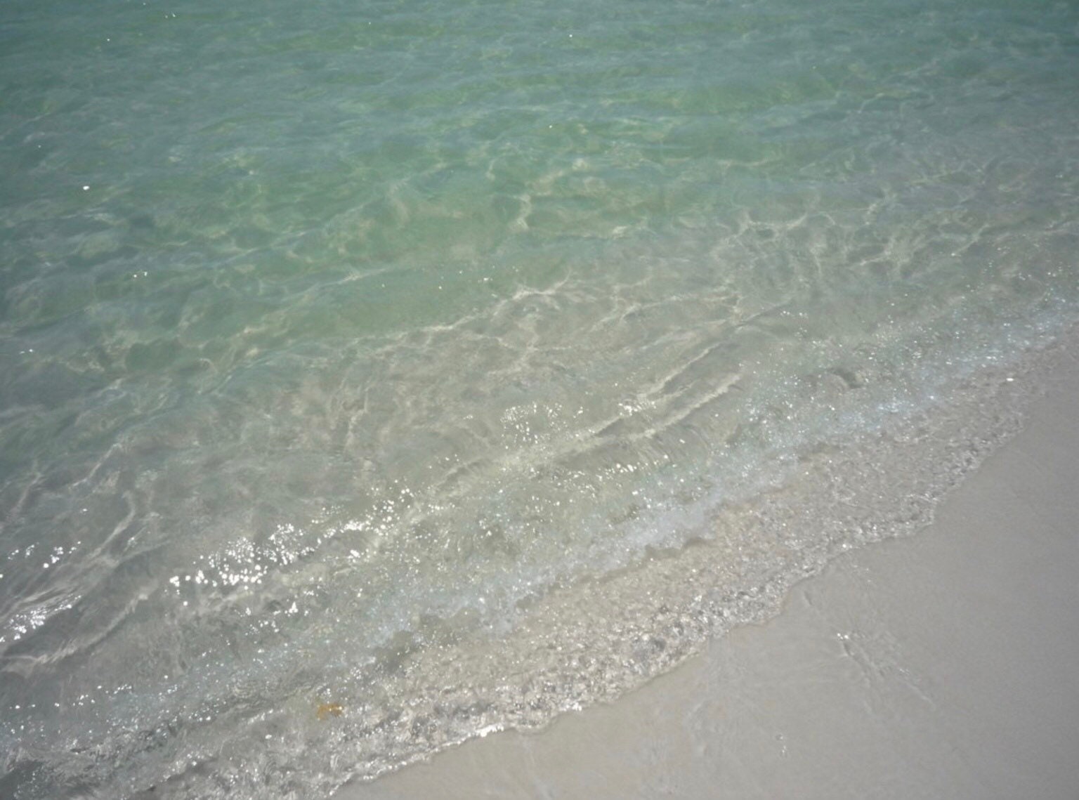 Fine White Sand Destin Florida Gulf Coast Beach Sand by Pound X Resin ...
