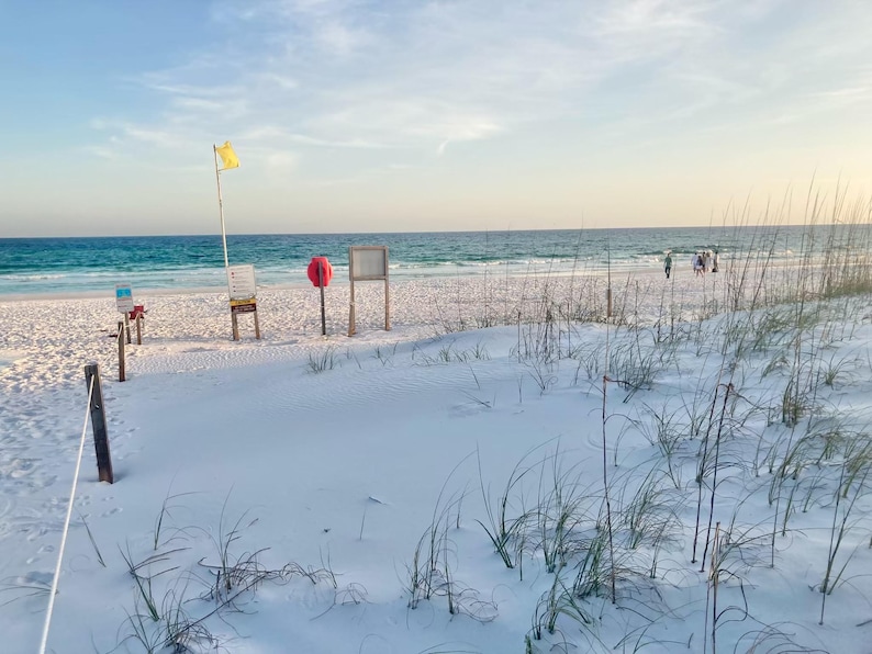 Fine White Sand Destin Florida Gulf Coast Beach Sand by Pound X Resin ...