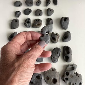 Hag Stones Bulk 30 Northern California Hag Stones Rocks With Holes ...