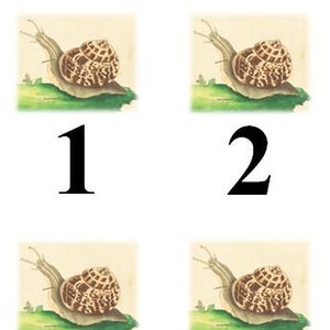 Snails Number Cards Printables - Numbers 1-20 - Digital Download ...