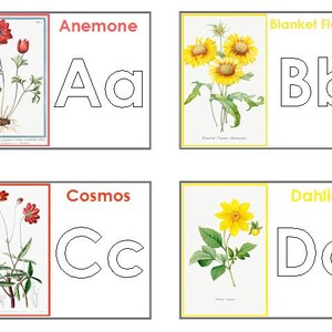 Vintage Flower Printable Alphabet Flash Card - Nature Study - 14 ...