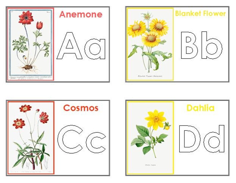 Vintage Flower Printable Alphabet Flash Card - Nature Study - 14 ...