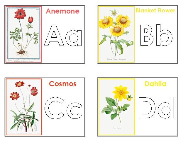 Vintage Flower Printable Alphabet Flash Card - Nature Study - 14 ...