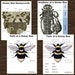 Bees Butterflies and Pollination Exploring Nature - Etsy