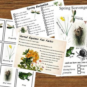 Spring Nature Bundle Printable (pond/frog Life - Spring Flower Alphabet ...