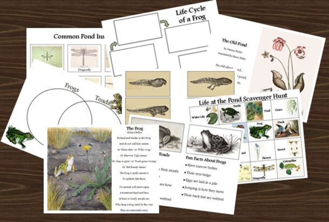 Spring Nature Bundle Printable pond/frog Life Spring Flower Alphabet ...