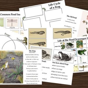 Spring Nature Bundle Printable (pond/frog Life - Spring Flower Alphabet ...