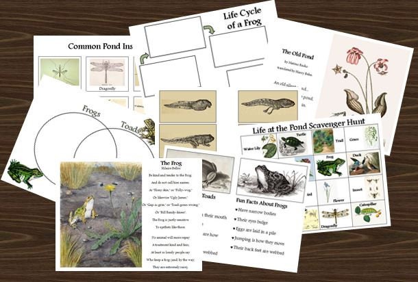 Spring Nature Bundle Printable pond/frog Life Spring Flower Alphabet ...