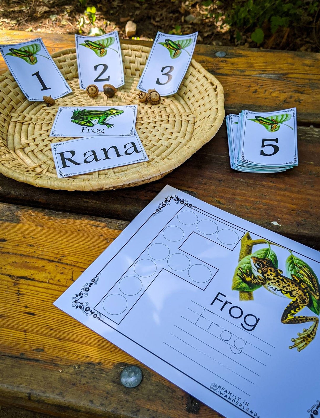 Frog Toad and Pond Nature Study Printables - 22 Pages - Exploring ...