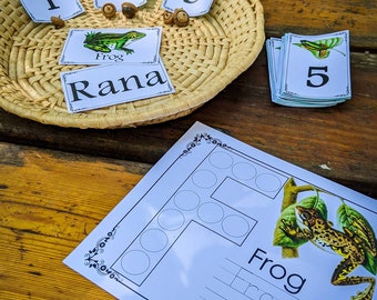 Frog and Toad Study - Etsy