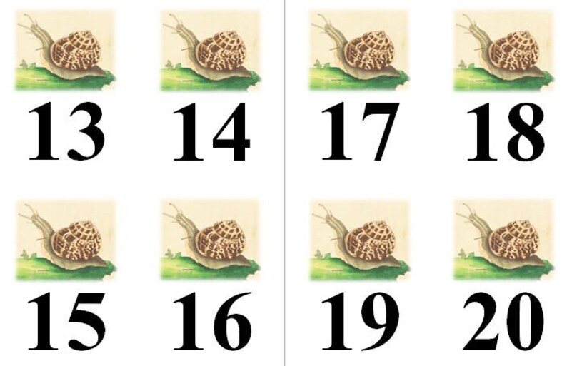 Snails Number Cards Printables Numbers 1-20 Digital - Etsy