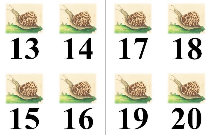 Snails Number Cards Printables Numbers 1-20 Digital - Etsy
