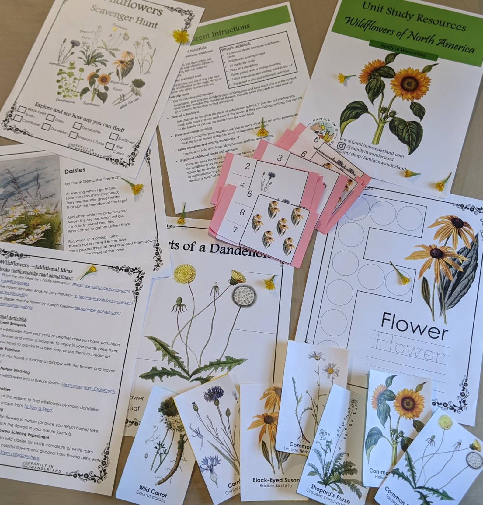 Wildflowers of North America Exploring Nature Digital - Etsy