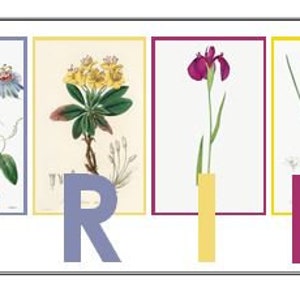 Vintage Flower Printable Alphabet Flash Card - Nature Study - 14 ...
