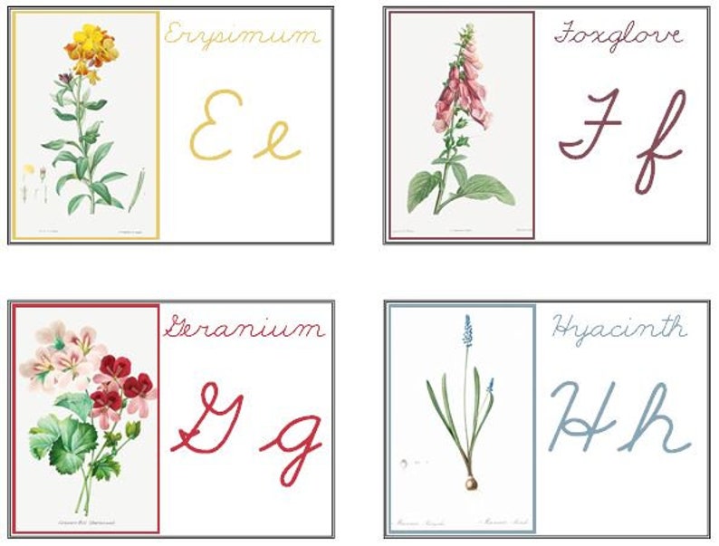 Vintage Flower Printable Cursive Alphabet Flash Cards Nature - Etsy