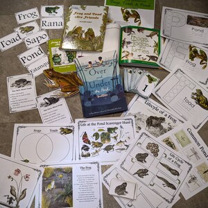 Frog Toad and Pond Nature Study Printables - 22 Pages - Exploring ...