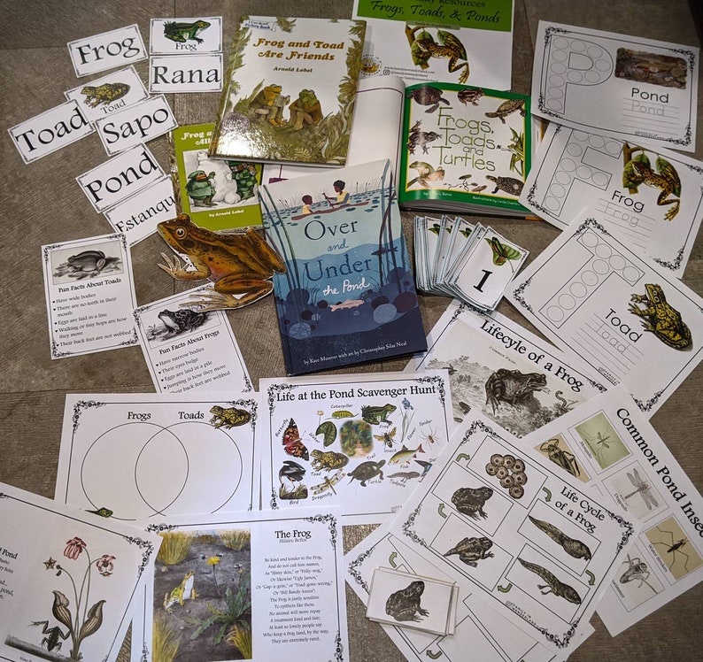 Frog Toad and Pond Nature Study Printables - 22 Pages - Exploring ...