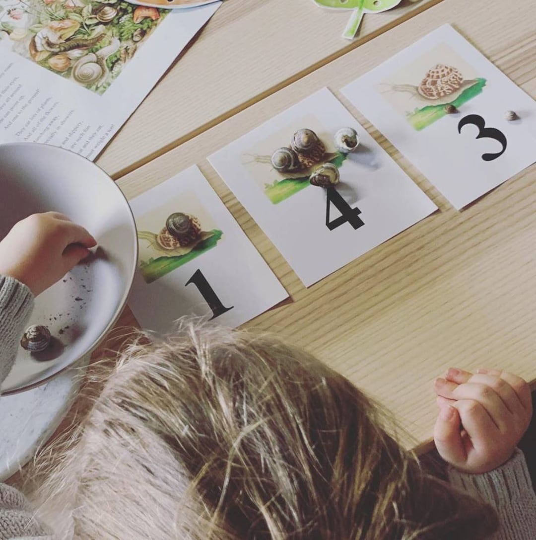 Snails Number Cards Printables - Numbers 1-20 - Digital Download ...