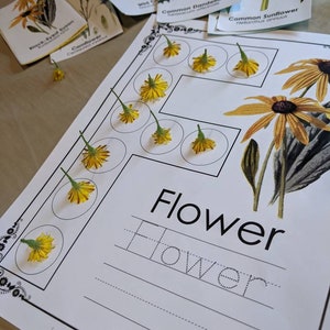 Wildflowers of North America Exploring Nature Digital Download - Etsy