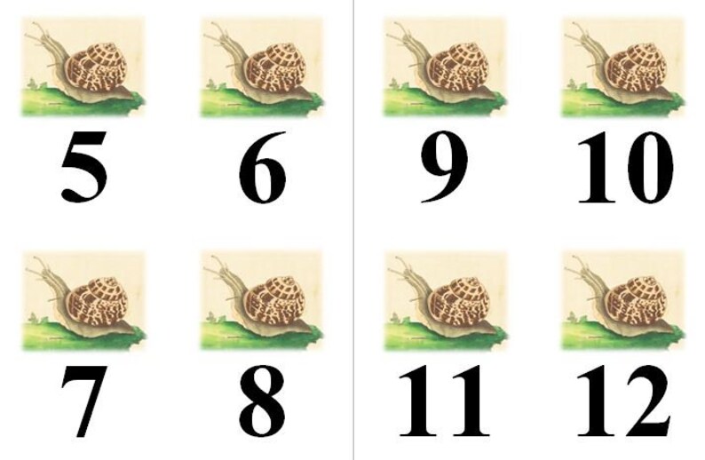 Snails Number Cards Printables Numbers 1-20 Digital - Etsy