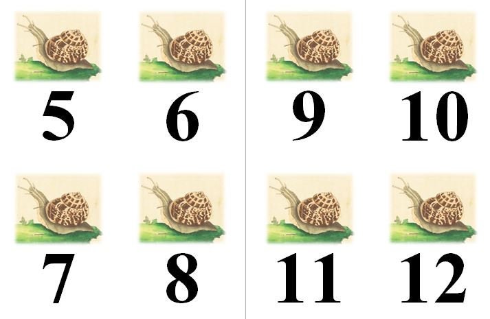 Snails Number Cards Printables Numbers 1-20 Digital - Etsy