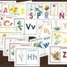 Spring Nature Bundle Printable (pond/frog Life - Spring Flower Alphabet ...