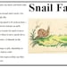 Snails Nature Study Printables 12 Pages Exploring Nature Digital ...