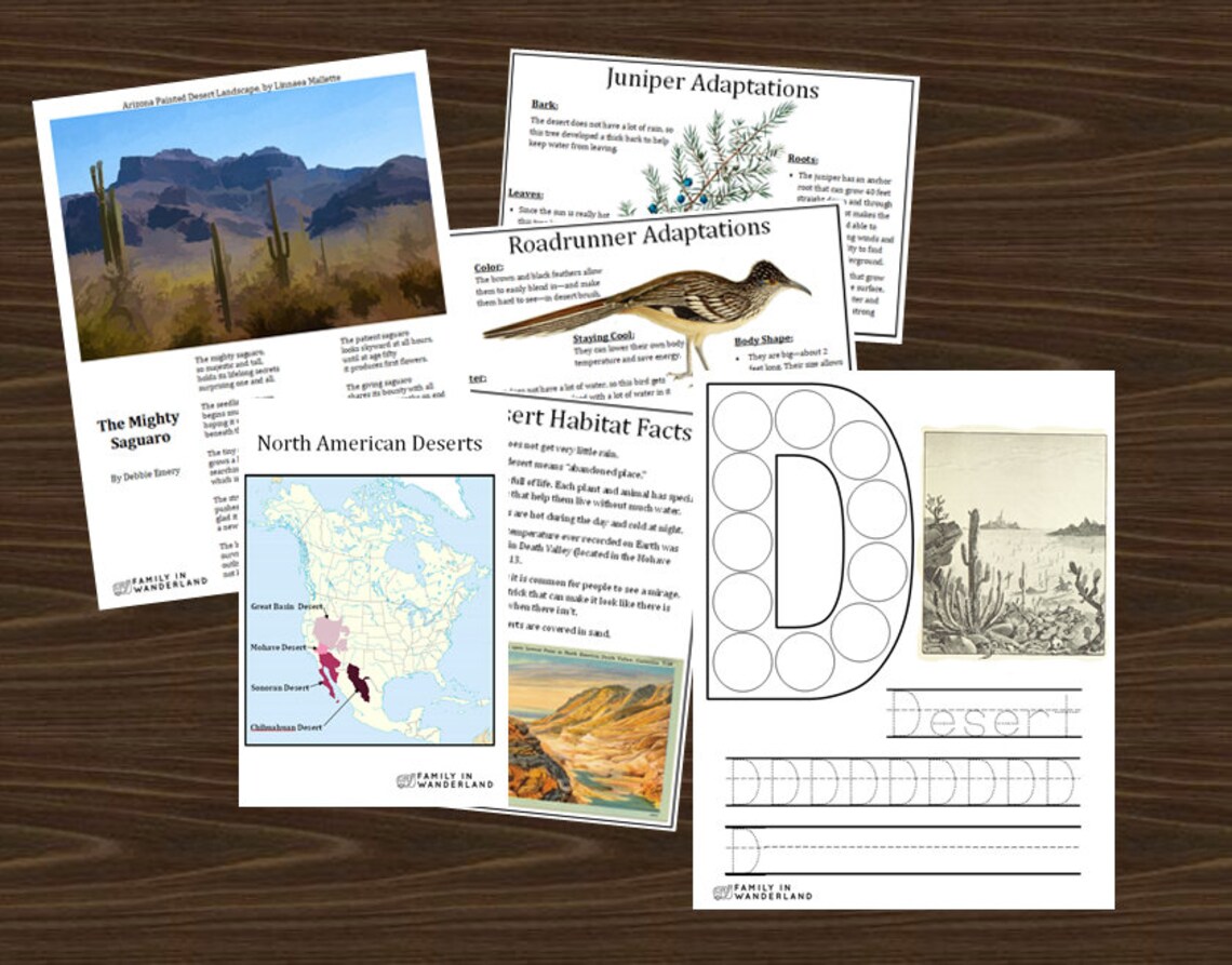 North American Desert Biome Printables - Digital Download - Exploring ...
