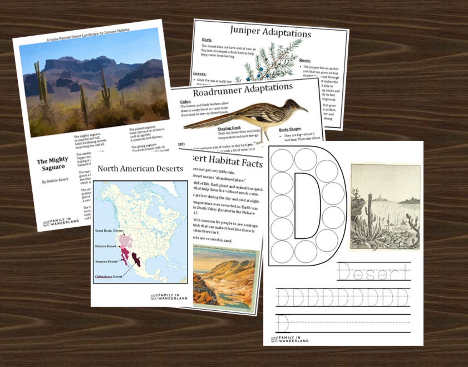 North American Desert Biome Printables - Digital Download - Exploring ...