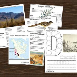 North American Desert Biome Printables - Digital Download - Exploring ...