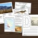 North American Desert Biome Printables - Digital Download - Exploring ...