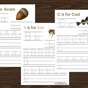 Nature ABC Upper and Lower Letter Practice Worksheets - Exploring ...