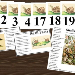 Snails Nature Study Printables - 12 Pages - Exploring Nature - Digital ...